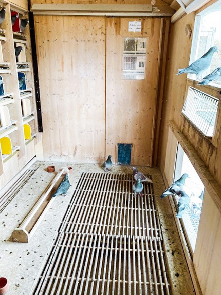 Referenzen - Taubenschlagbau Schorr