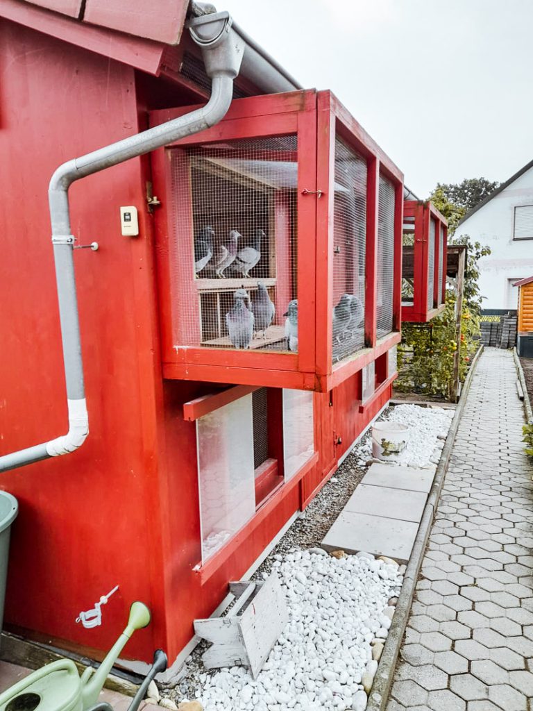 Referenzen - Taubenschlagbau Schorr